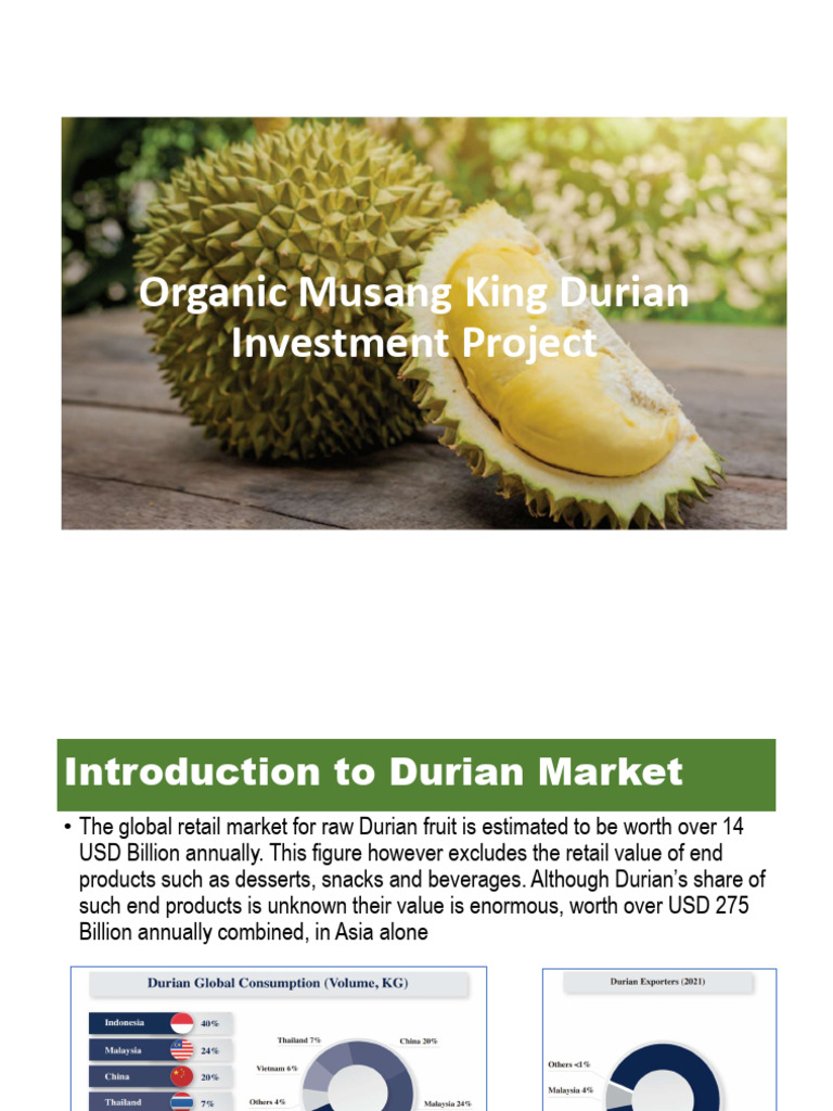 Organic Musang King Durian Investment Guide | PDF | Agriculture