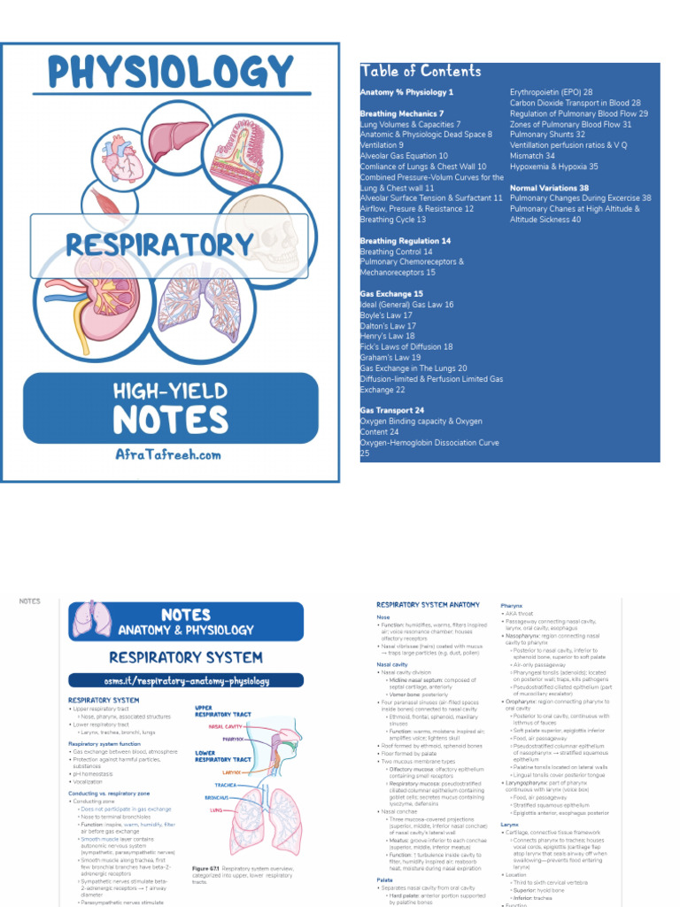 Comprehensive Respiratory System Guide | PDF | Respiratory Tract | Lung