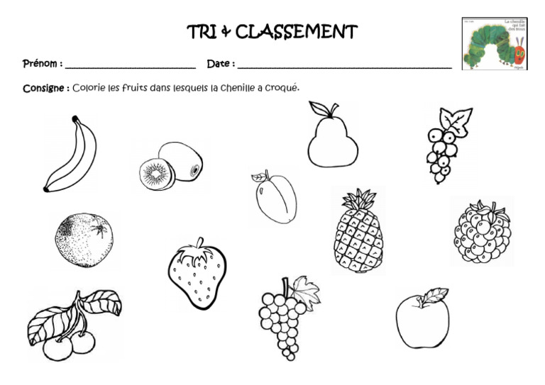 Activité de tri des fruits pour enfants | PDF