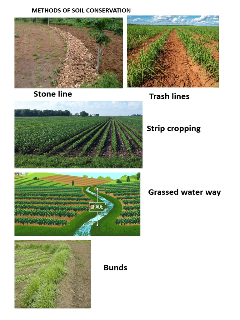 Methods of Soil Conservation | PDF