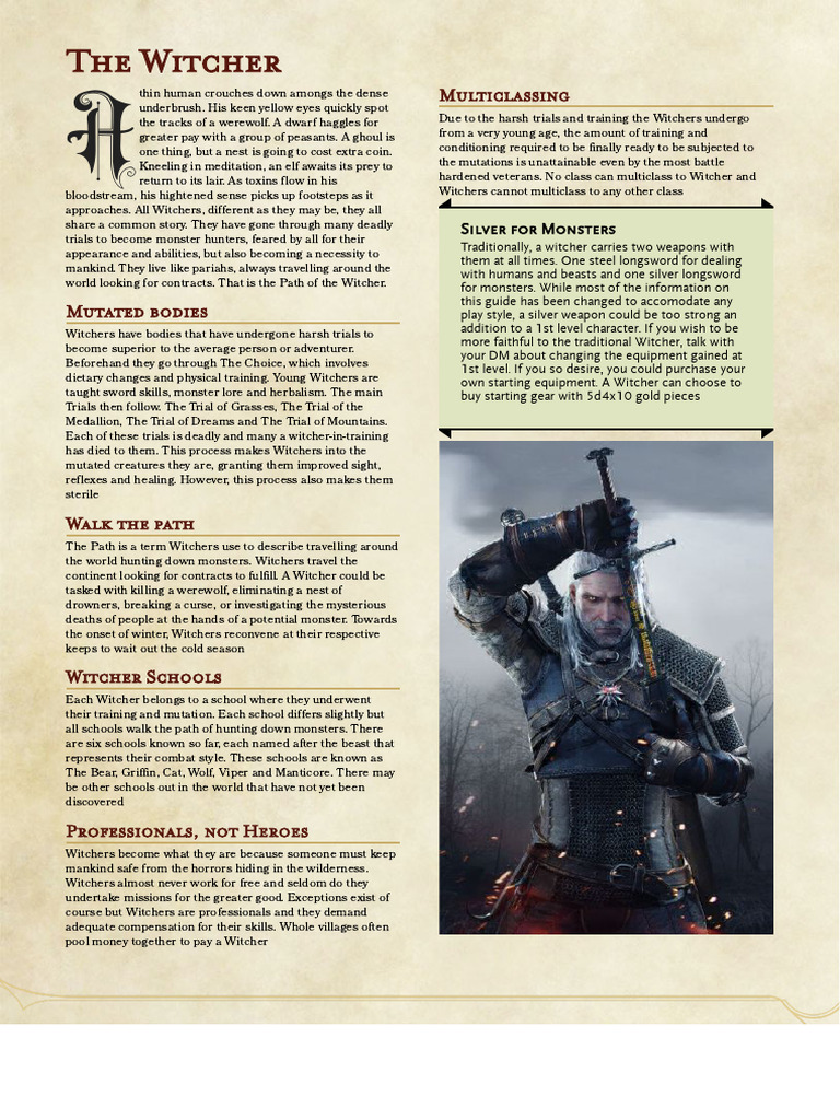 The Witcher: Monster Hunter Guide | PDF