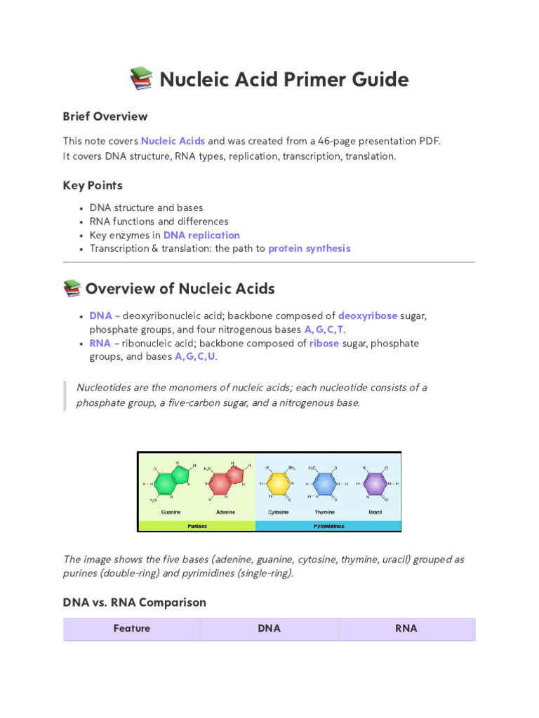 Nucleic Acids: DNA & RNA Overview | PDF