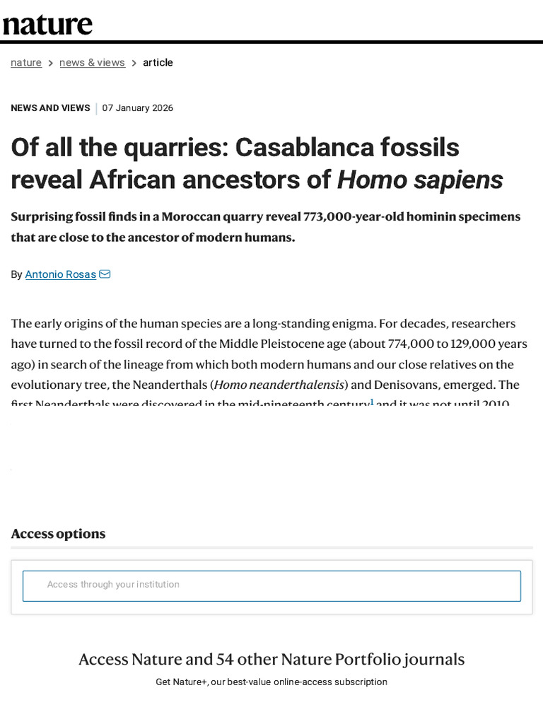 Casablanca Fossils: African Ancestors Uncovered | PDF | Human Evolution ...