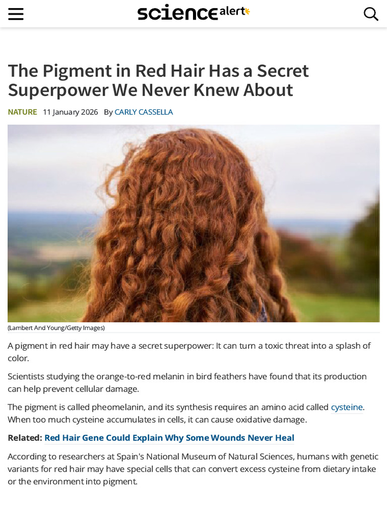 The Pigment in Red Hair Has a Secret Superpower We Never Knew Ab | PDF ...