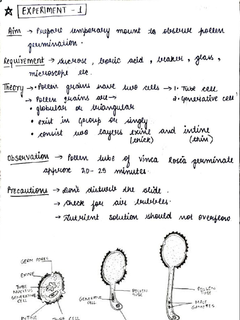 Class 12 Important Notes for Practical | PDF