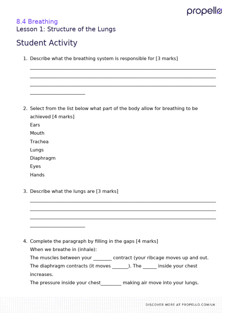 8.4 Lesson 1_ Structure of the Lungs | PDF | Breathing | Lung