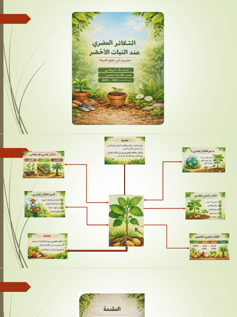 Alaa Rouahai(1) | PDF