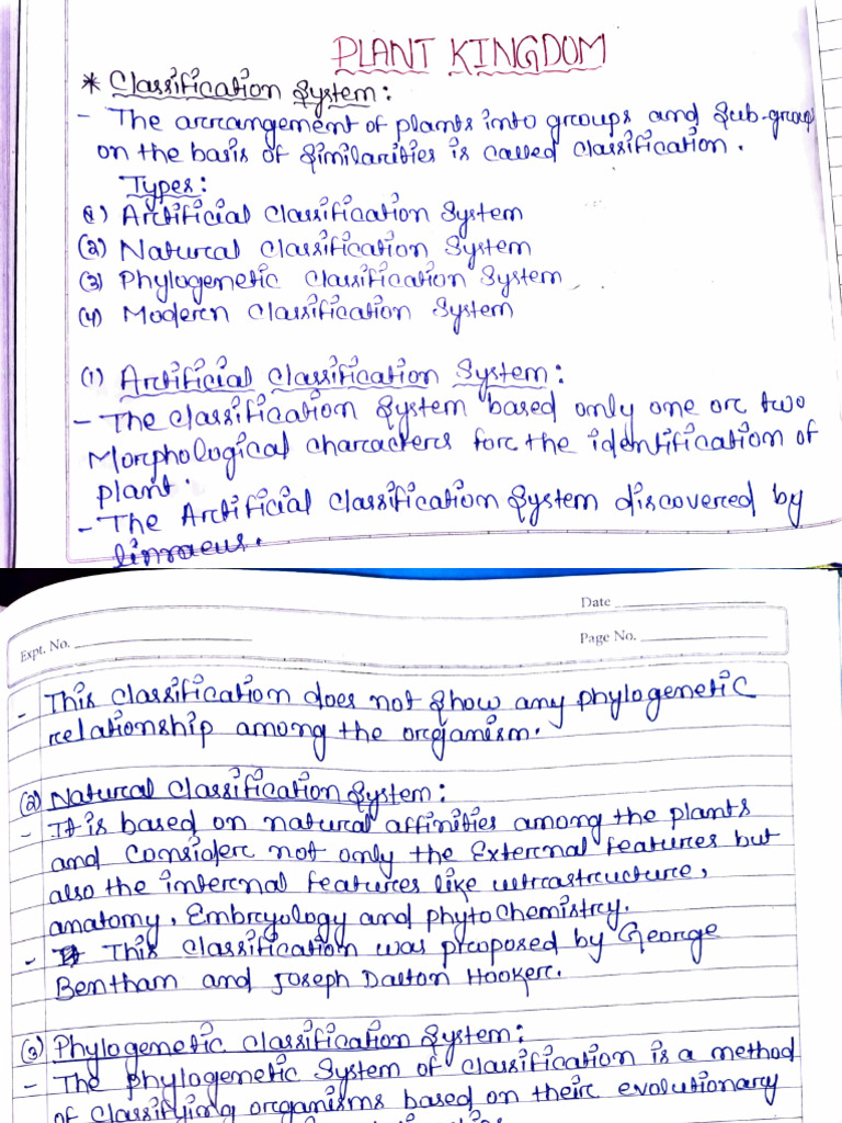 plant kingdom first year | PDF