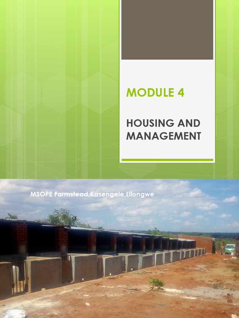 MODULE 4-Housing and Management | PDF | Pig | Agriculture