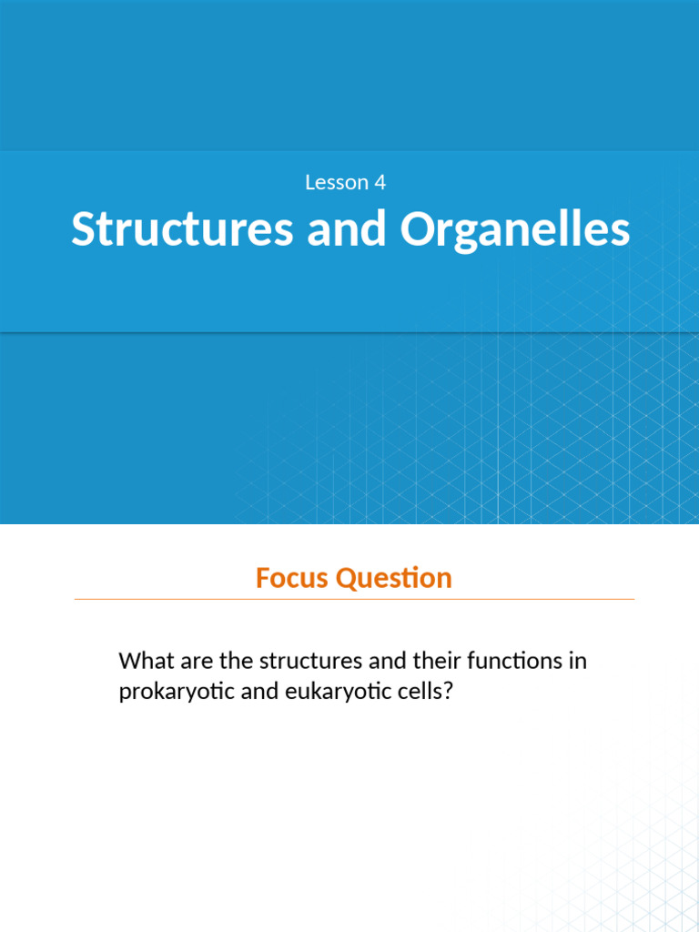 Lesson 4 Structures and Organelles | PDF | Cell (Biology) | Endoplasmic ...