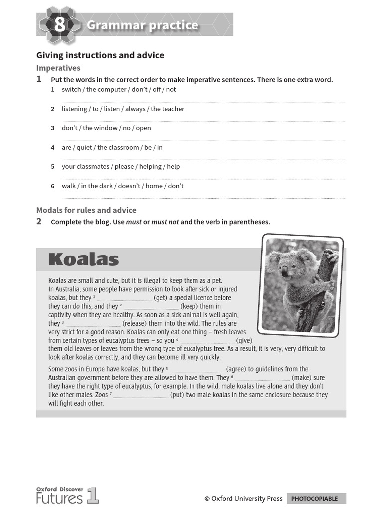 ODF1 Unit 8 Grammar Practice | PDF | Koala | Linguistic Morphology