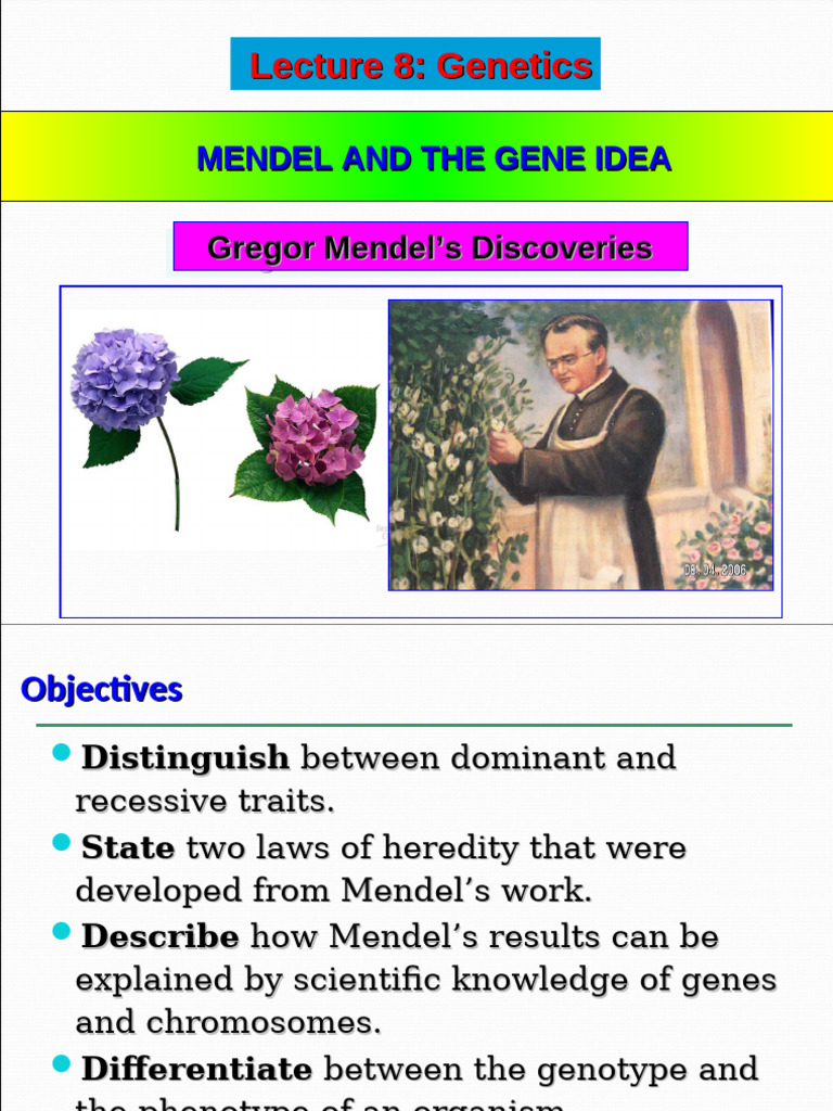 lecture_8_mendel | PDF | Dominance (Genetics) | Genotype