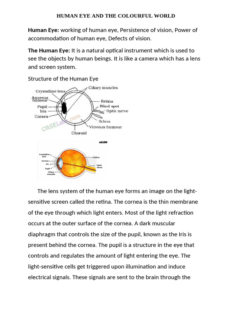 human eye -2 | PDF | Eye | Sunset