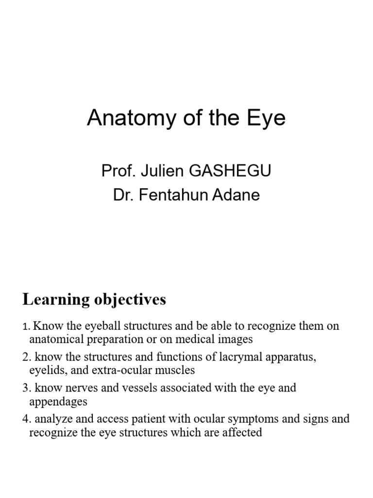 1. Gross anatomy of the eye | PDF | Human Eye | Human Anatomy