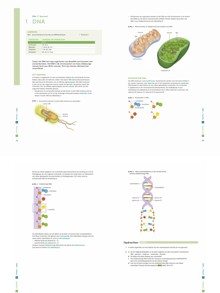 25:26 H4 Handout BVJ Thema 9 - DNA (H5) 7e Editie | PDF