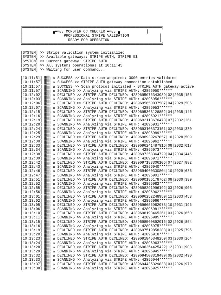 Stripe CC Validation Report | PDF | Telecommunications | Networking ...