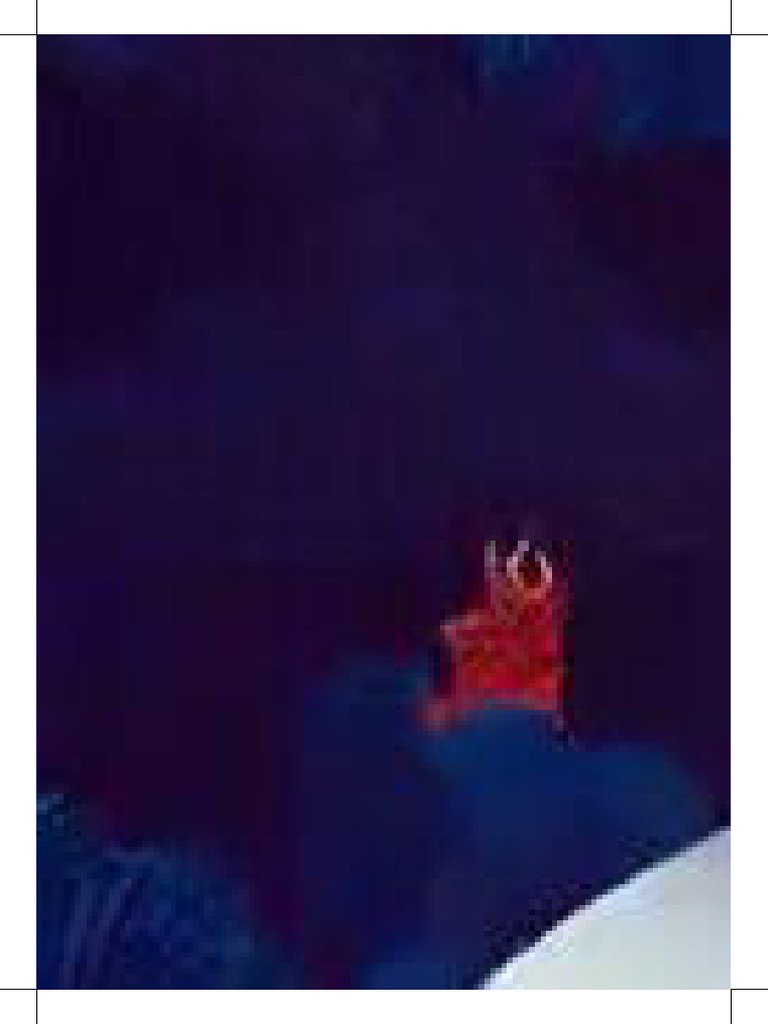 Rasterbation (2) | PDF