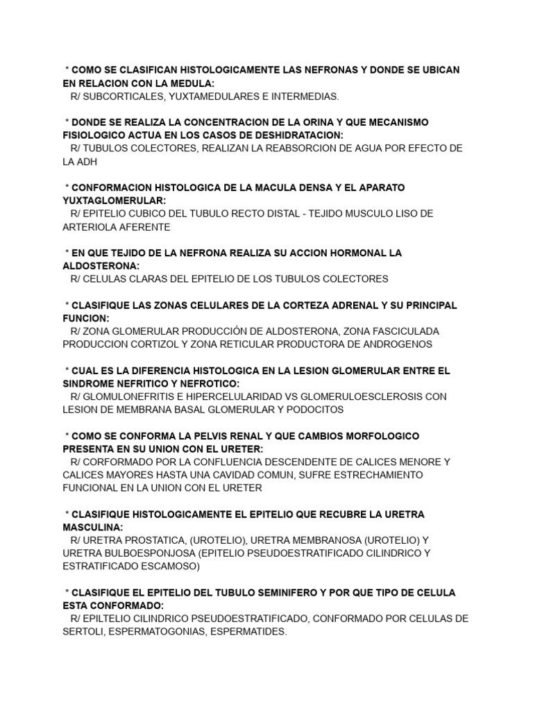 Clasificación y Funciones de Nefronas y Glándulas | PDF | Epitelio ...