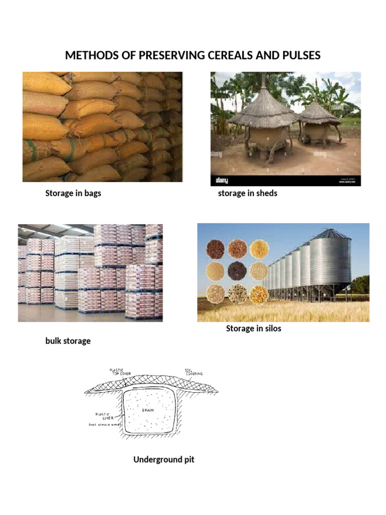 Methods for Preserving Cereals & Pulses | PDF