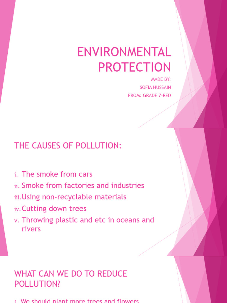 Causes and Solutions for Pollution | PDF