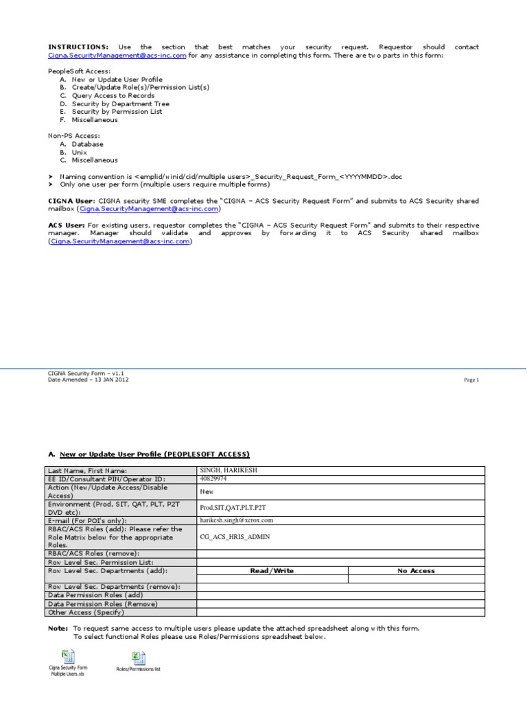 40829974_Security_Access_Form 20120518 | User (Computing) | Email