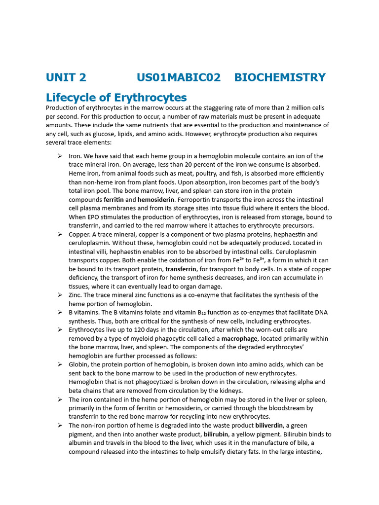 Rbc Life Cycle | PDF | Red Blood Cell | Iron
