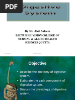 Printable Digestive System Cut-Outs | PDF