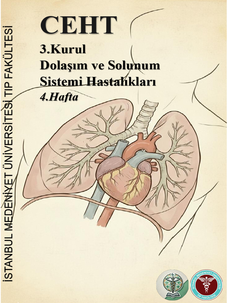 CEHT 3.komite 4.hafta | PDF