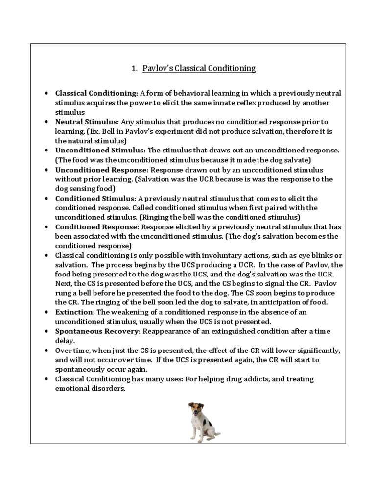 Pavlov's Classical Conditioning | PDF | Classical Conditioning ...