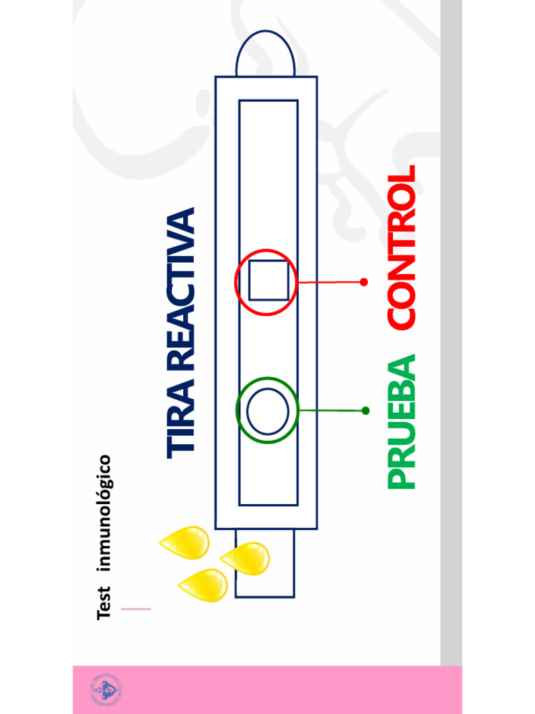 Prueba de e,Barazo | PDF