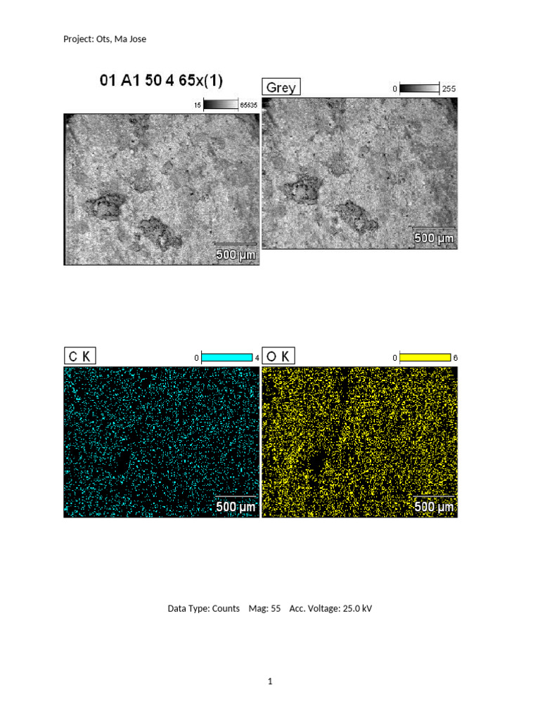 01 A1 50 4 65x | PDF | Electricity