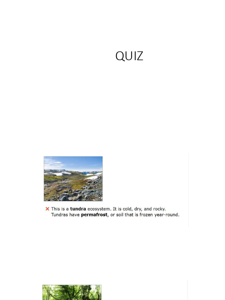 Ecosystem QUIZ | PDF