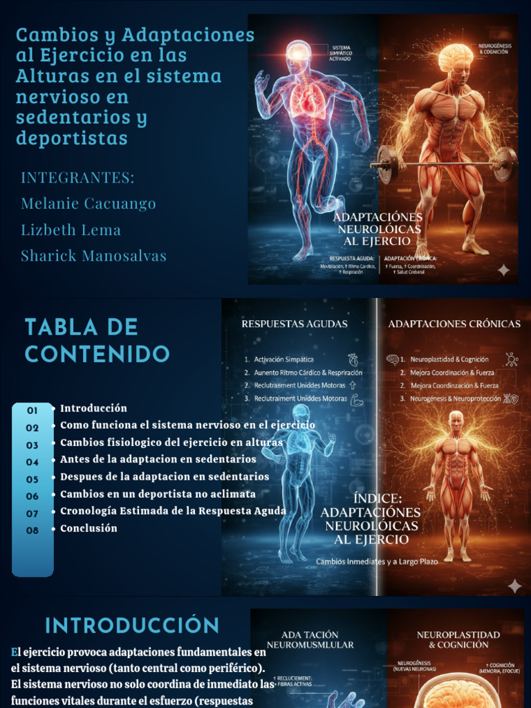 Adaptaciones del Sistema Nervioso en Altura | PDF | Fisiología ...