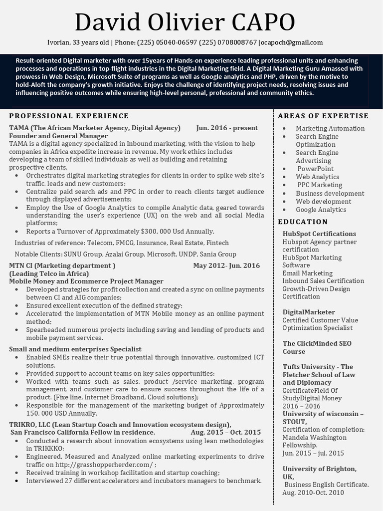 Resume David New | PDF | Digital Marketing | Analytics