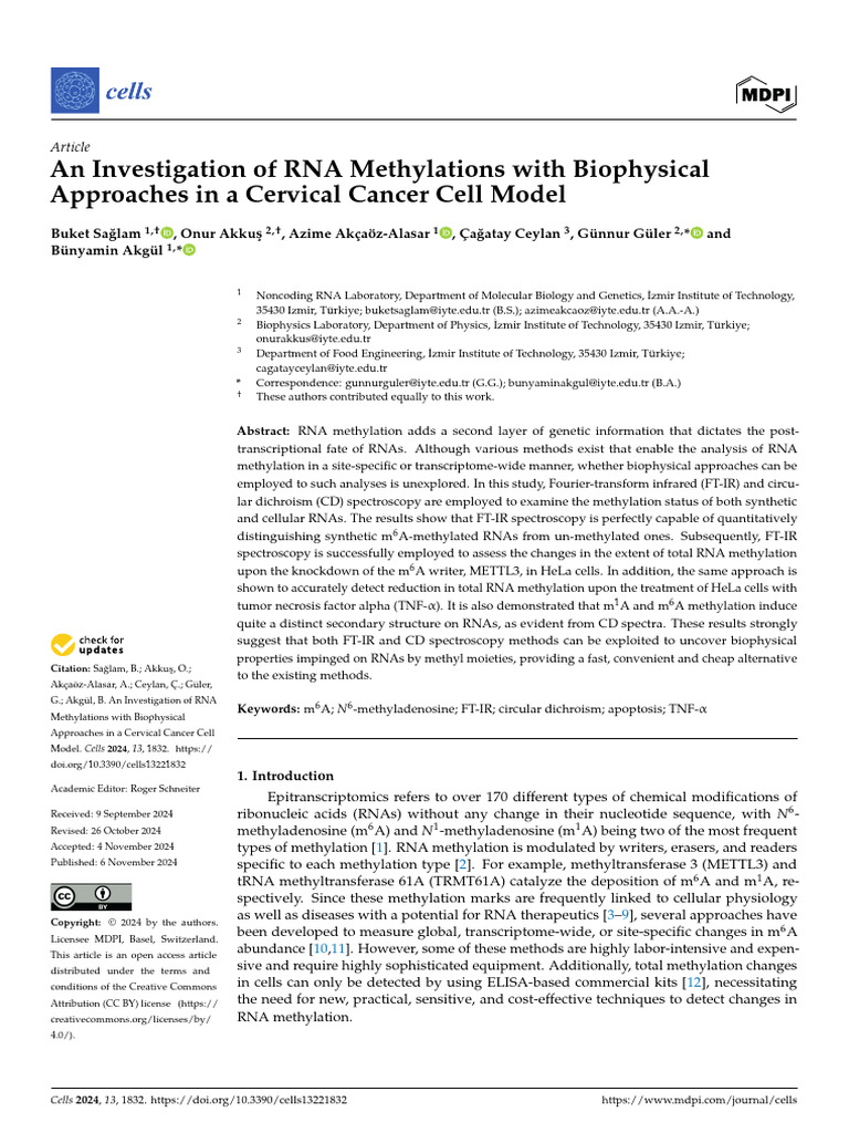 cells-13-01832 | PDF | Infrared Spectroscopy | Rna