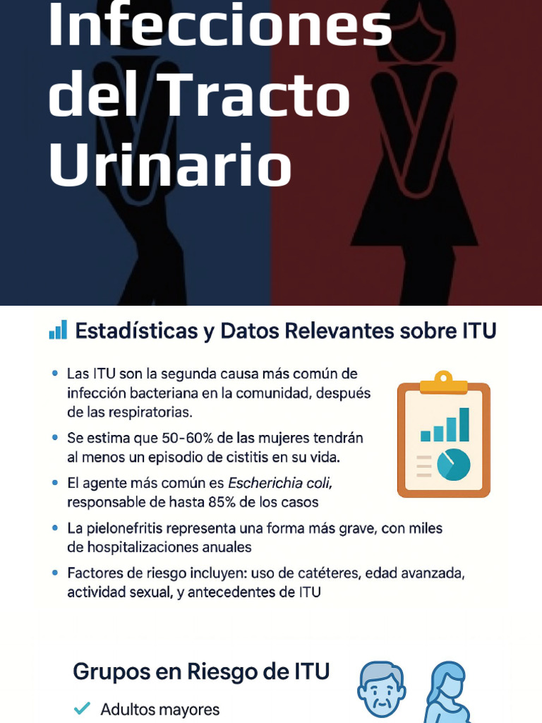 Clasificación y Causas de ITU | PDF | Escherichia coli | Infección del ...