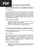 Triaditis Felina: Diagnóstico y Tratamiento | PDF | Inflamación | Páncreas