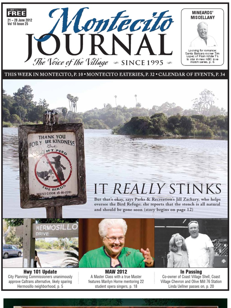 It Really Stinks! | PDF | Traffic | Lake