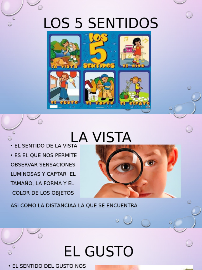 Los 5 Sentidos: Vista, Gusto, Olfato, Oído y Tacto | PDF