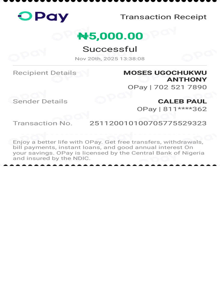 OPay Transaction Receipt - ₦5,000 Successful | PDF