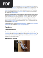 Leaf-Tailed Gecko Adaptations Explained | PDF | Predation | Camouflage