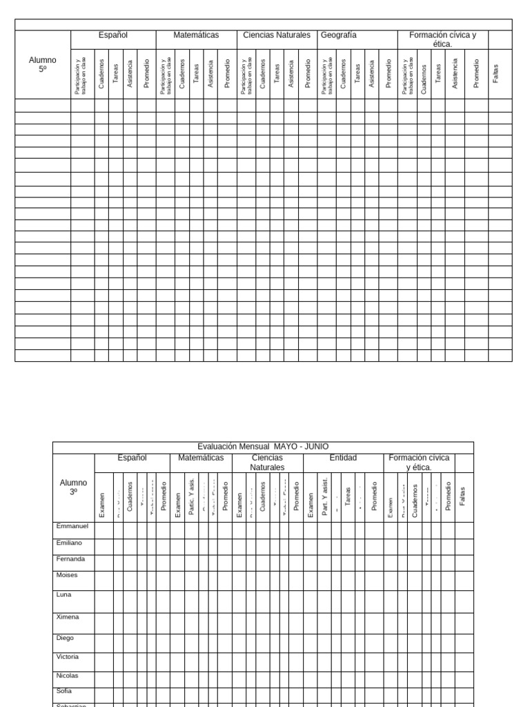 Formato de Evaluación | PDF
