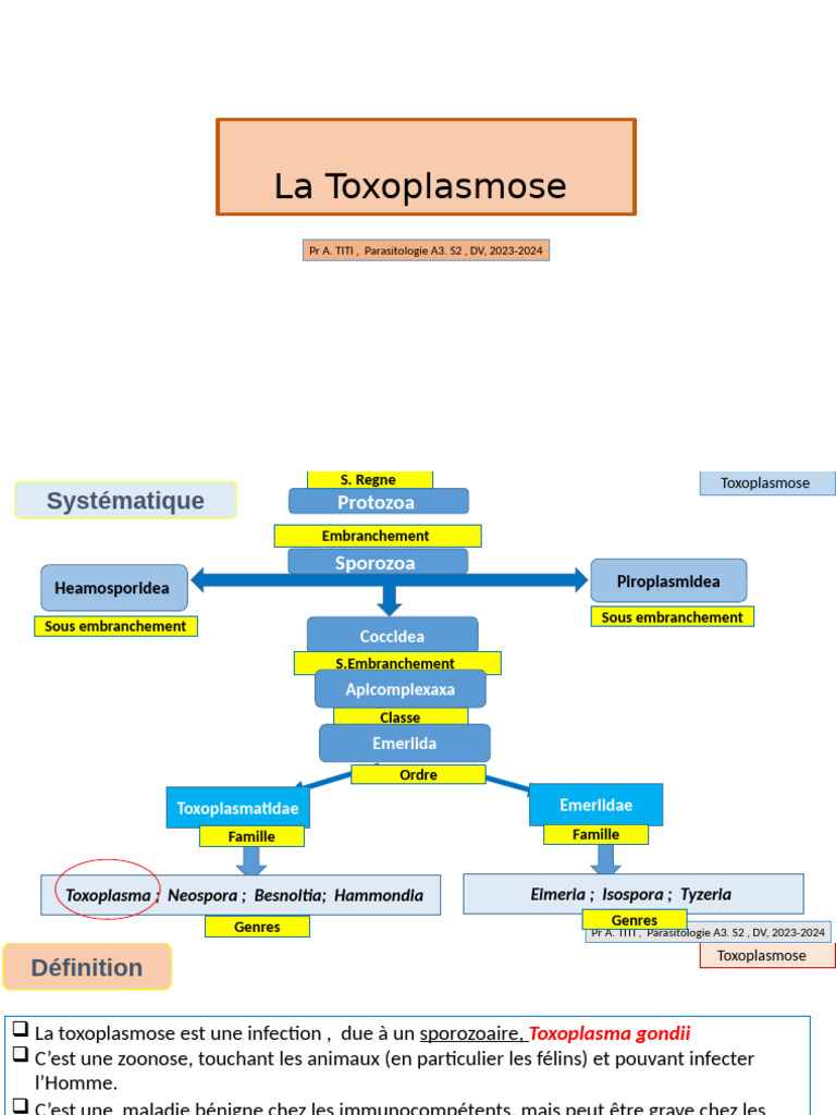 La Toxoplasmose | PDF | Spécialités médicales | Immunologie