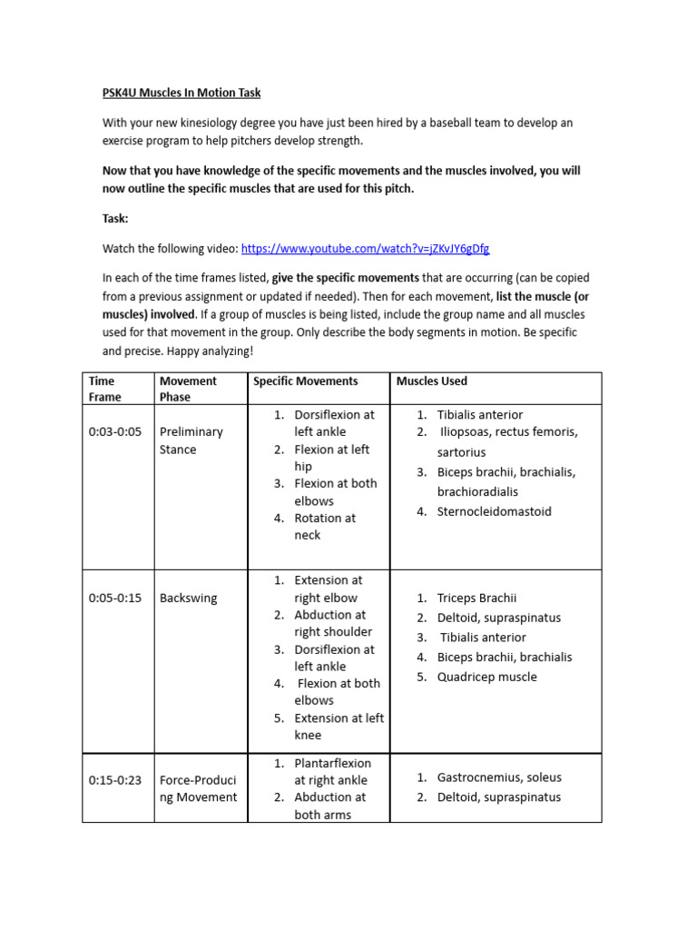 _Muscles in Motion Task | PDF | Anatomical Terms Of Motion ...