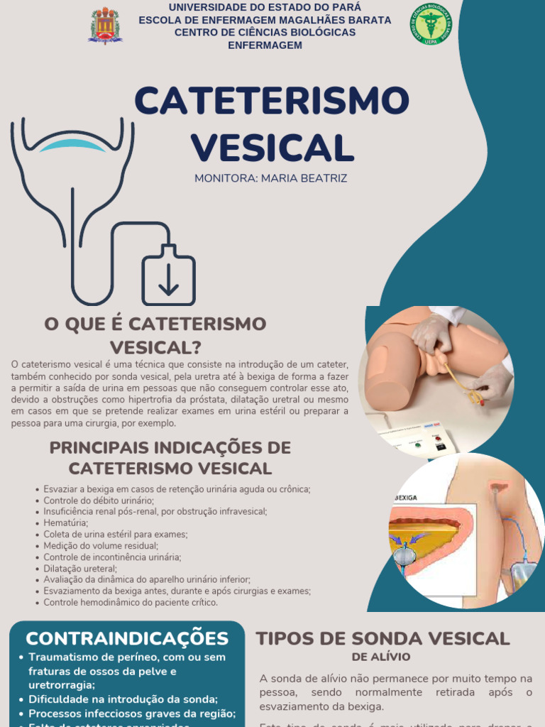 cateterismo vesical | PDF | Micção | Urologia