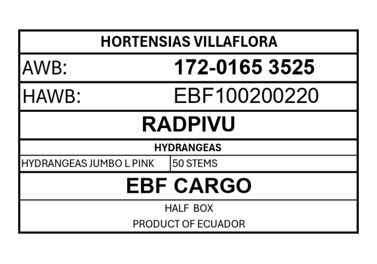 Jumbo Pink Hydrangeas from Ecuador | PDF