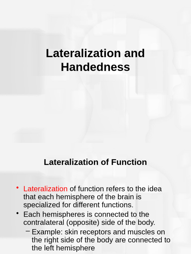 Brain Hemispheres and Lateralization | PDF | Lateralization Of Brain ...
