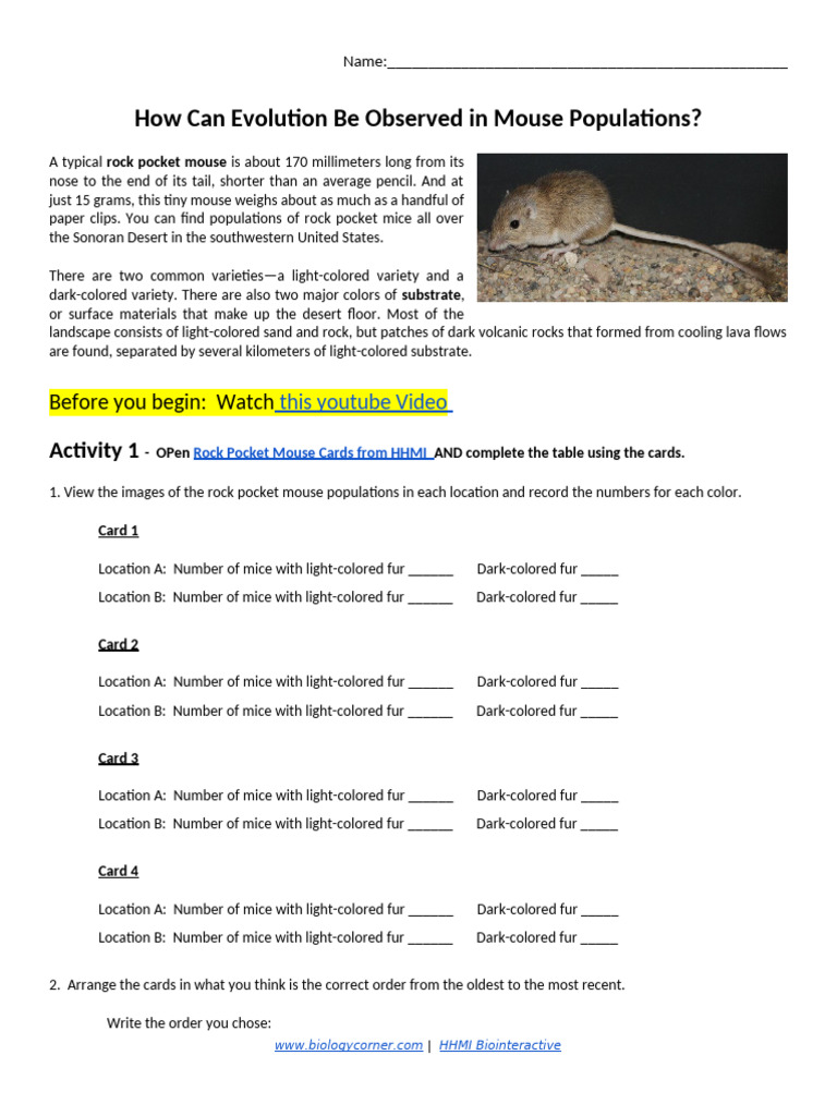 [Template] Rock Pocket Mouse Activity (1) | PDF | Natural Selection ...