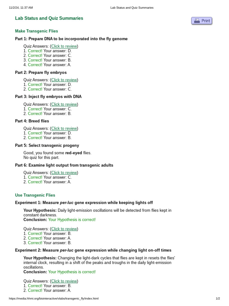 Transgenic Fly Virtual Lab - HHMI's BioInteractive | PDF | Transgene ...