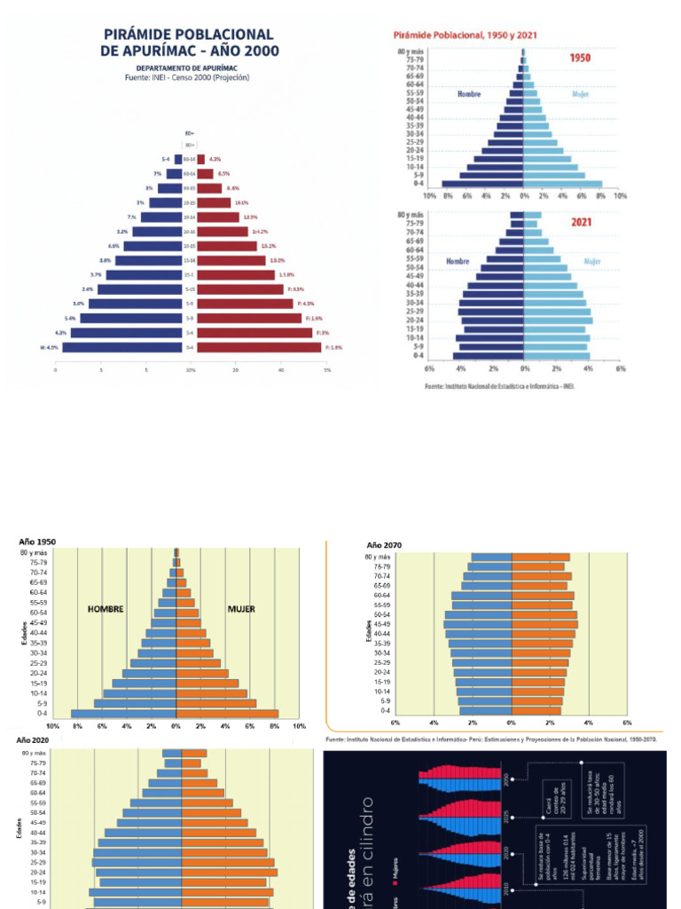 Piramide Poblacional | PDF